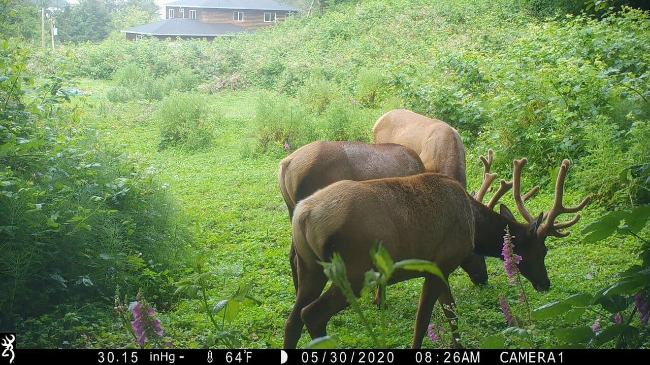 Thompson Springs | Sammy's Place